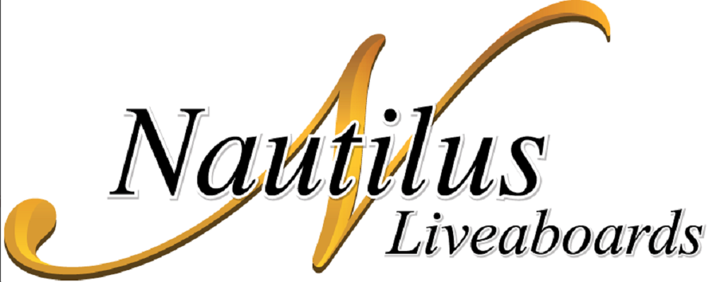 Nautilus Gallant Lady | Liveaboard | PADI Travel