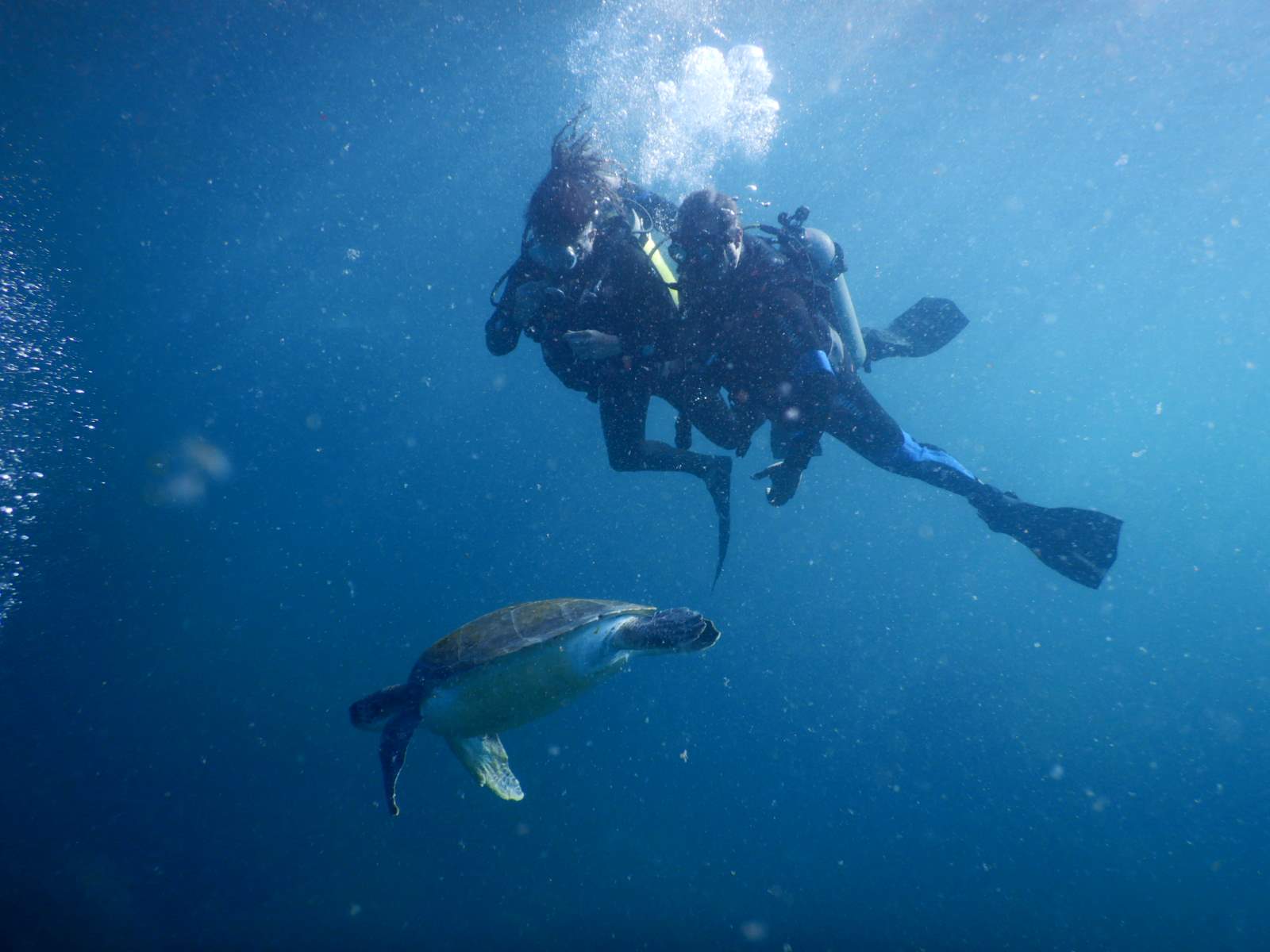 Interior De La Barra De Buceo