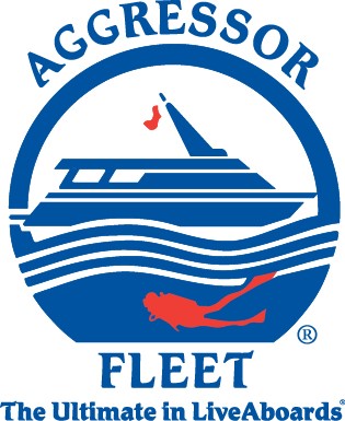 Red Sea Aggressor IV | Liveaboard | PADI Travel