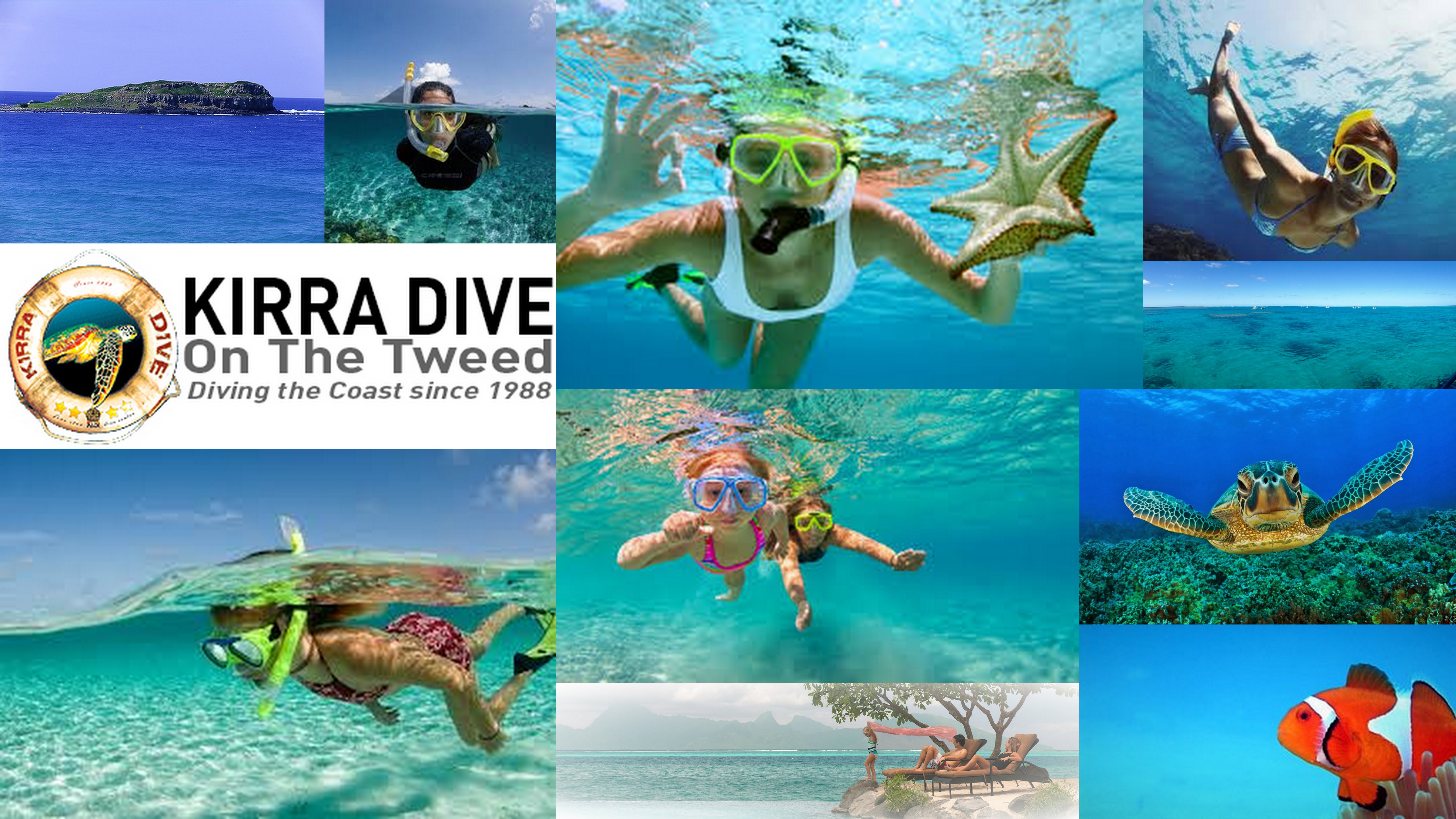 Kirra Dive 'On the Tweed' | Tweed Heads | PADI Dive Center