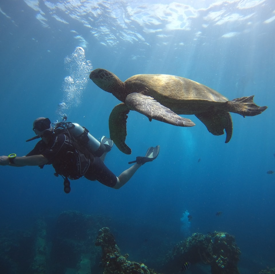 Black Rock Scuba | Maui | PADI Dive Center