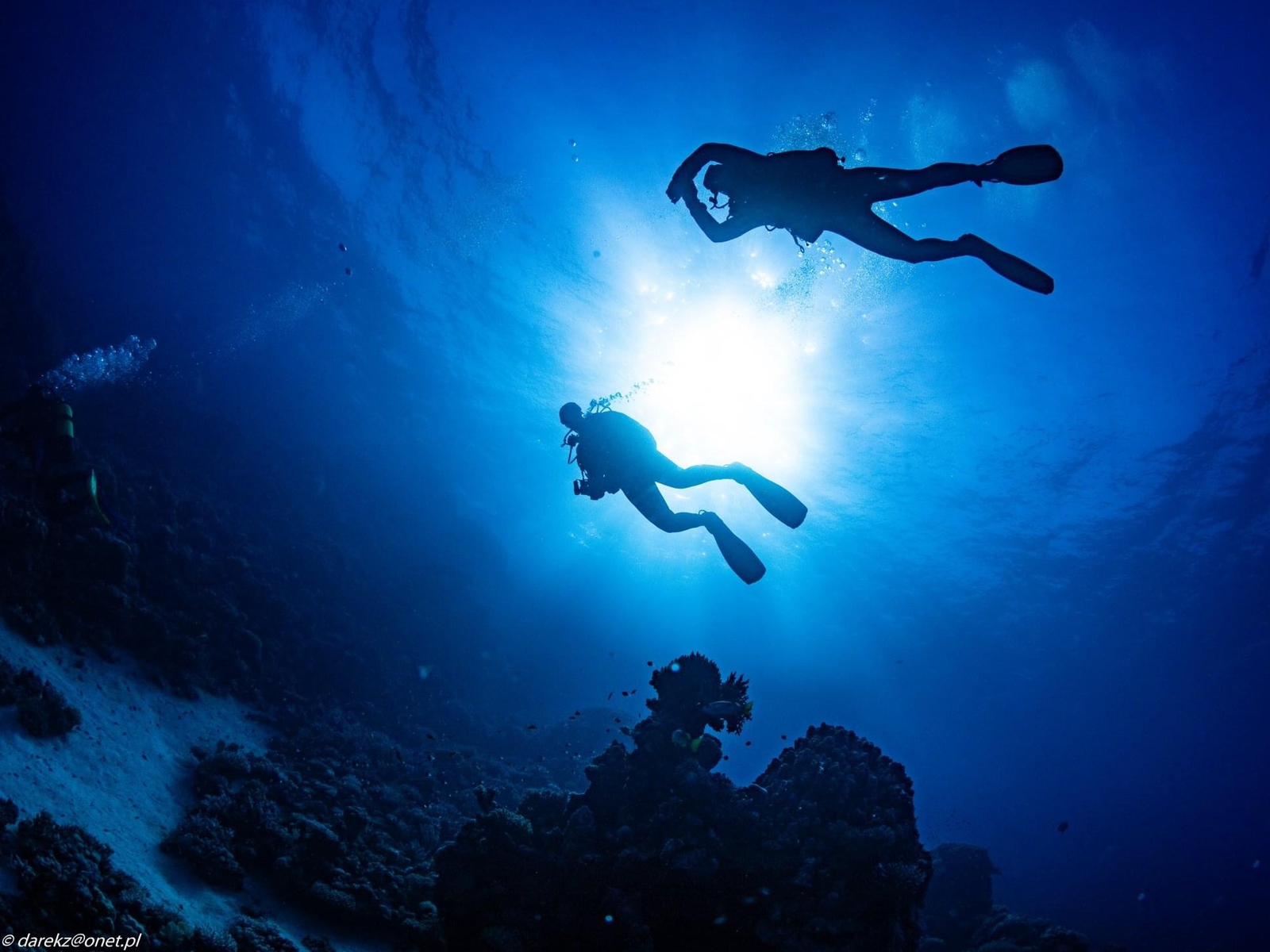 TGI Diving Gorgonia Beach | Marsa Alam | PADI Dive Center