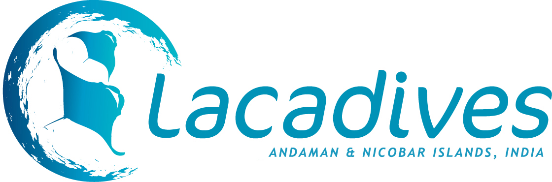 Lacadives in India - Zentacle