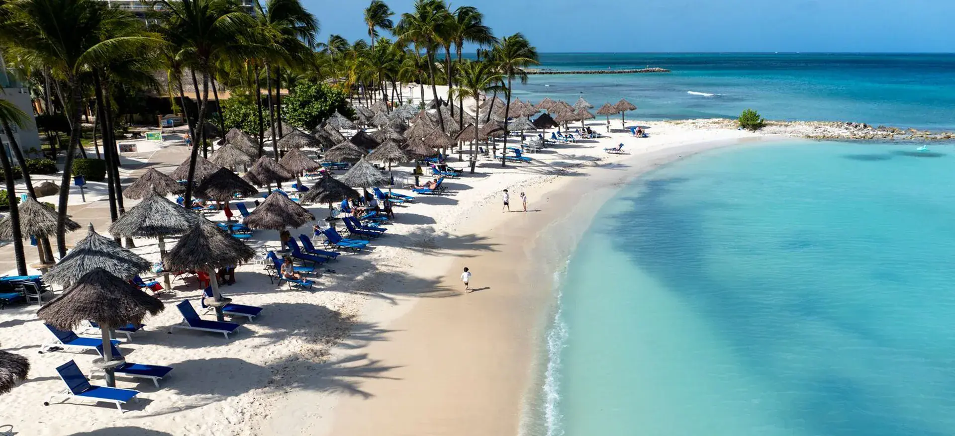 Divi Aruba Phoenix Beach Resort | Dive Resort | PADI Travel