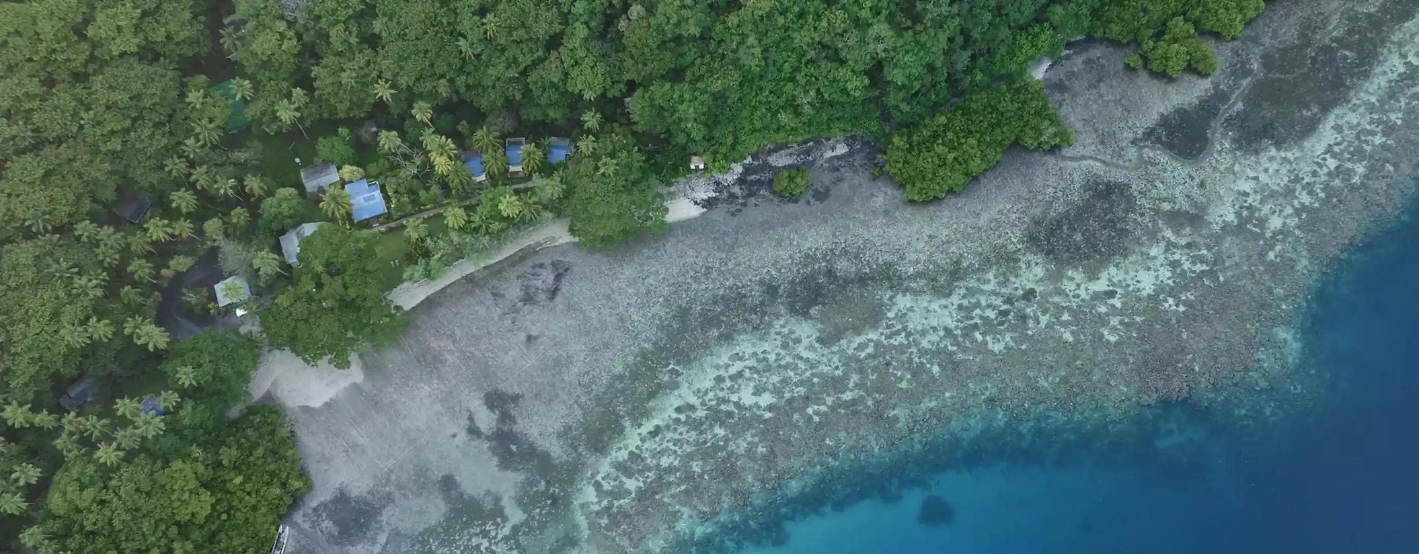 Sau Bay Resort and Spa | Viani Bay | PADI Dive Center