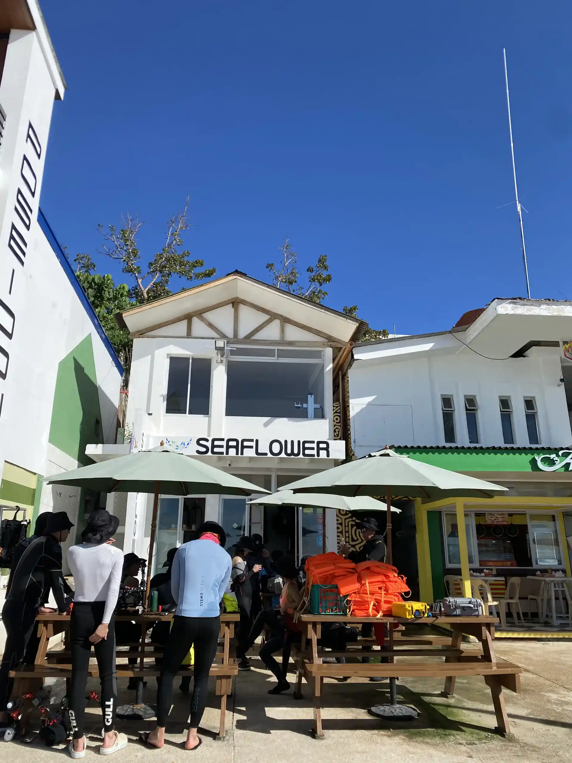 Sea Flower Dive | Panglao Island | PADI Dive Center