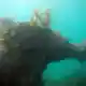 Koh Reath dive site | PADI