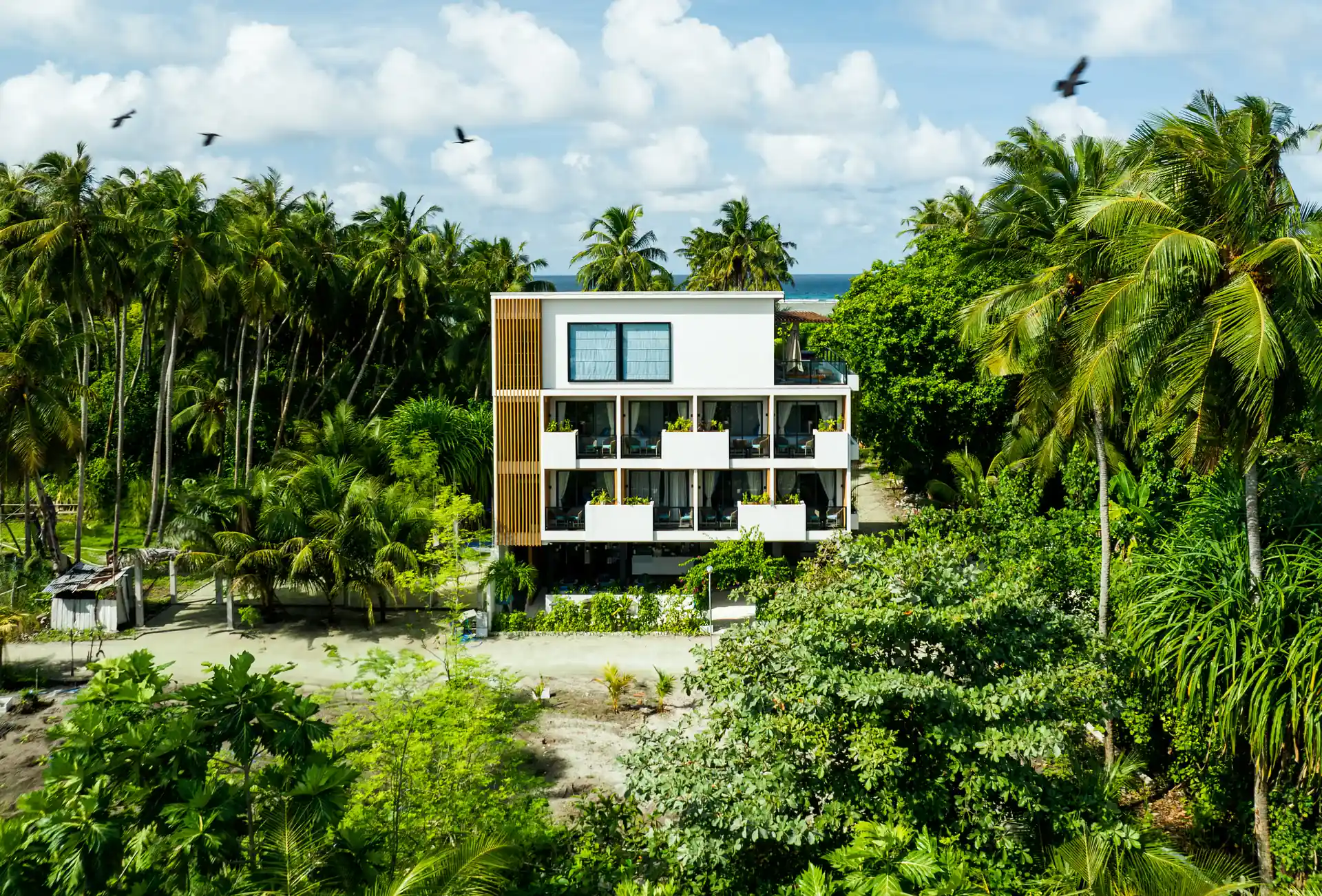 Whale Shark Boutique | Dive Resort | PADI Travel