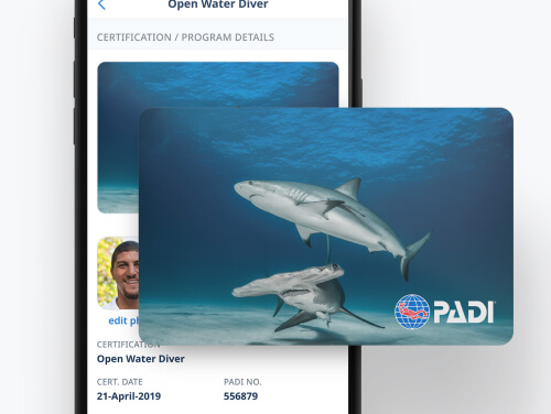 Diving in Greece | PADI